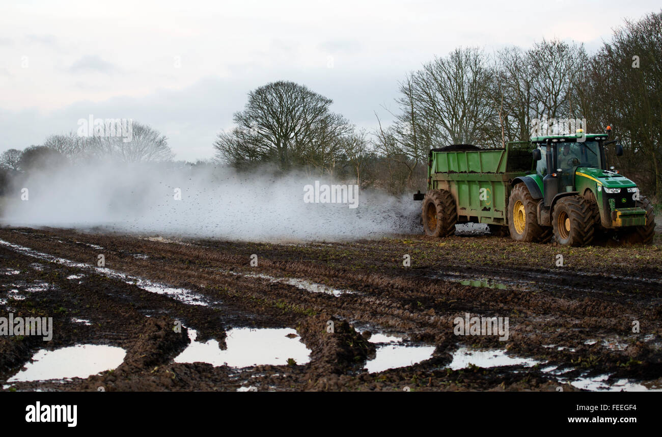 Muck spreading on an arable farm, Alderton, Suffolk, UK Stock Photo - Alamy