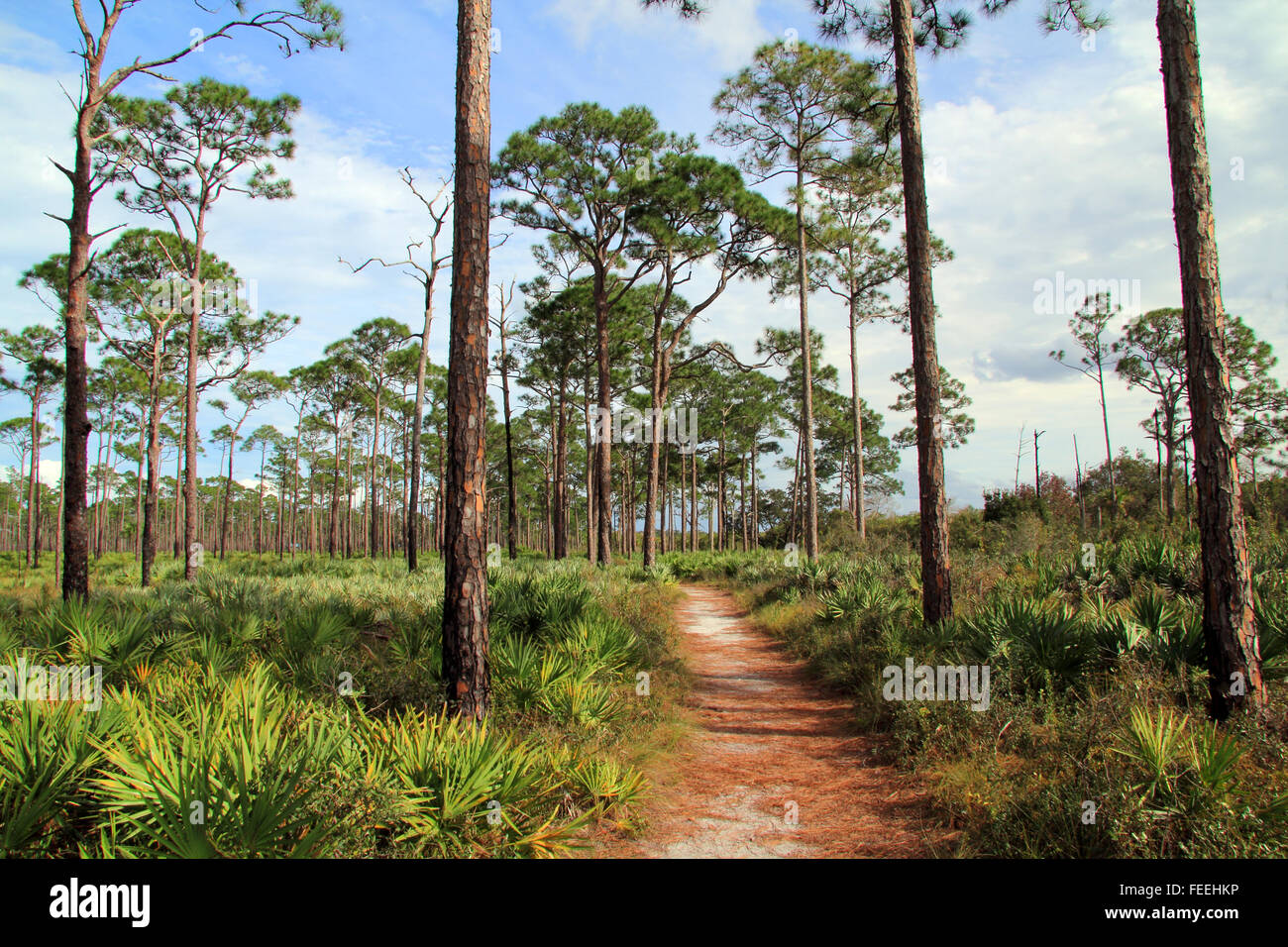 Trails jupiter hi-res stock photography and images - Alamy