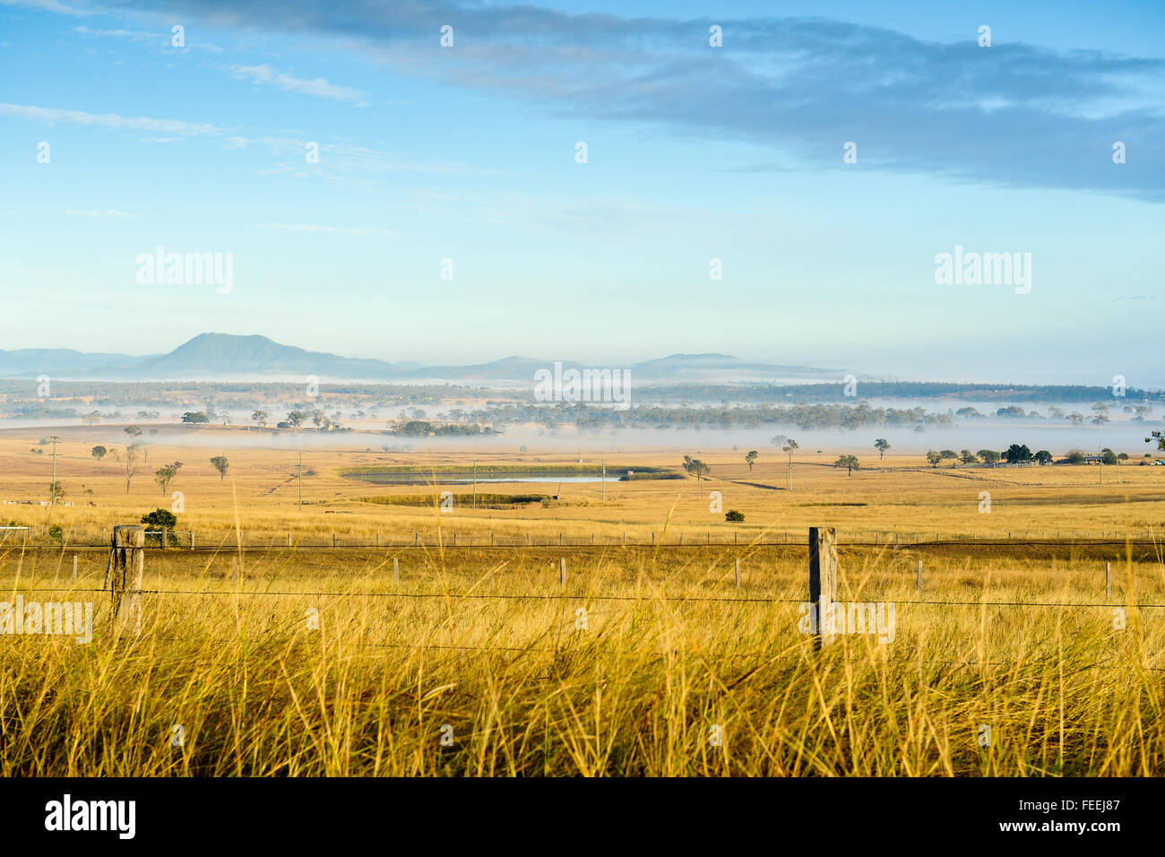 Golden grass field hi-res stock photography and images - Alamy