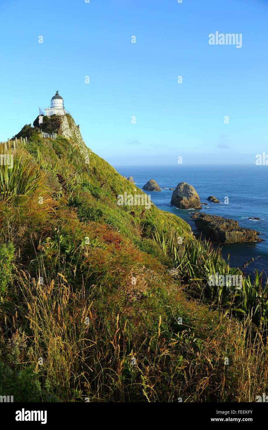 Nugget point lighthouse new zealand hi-res stock photography and images ...
