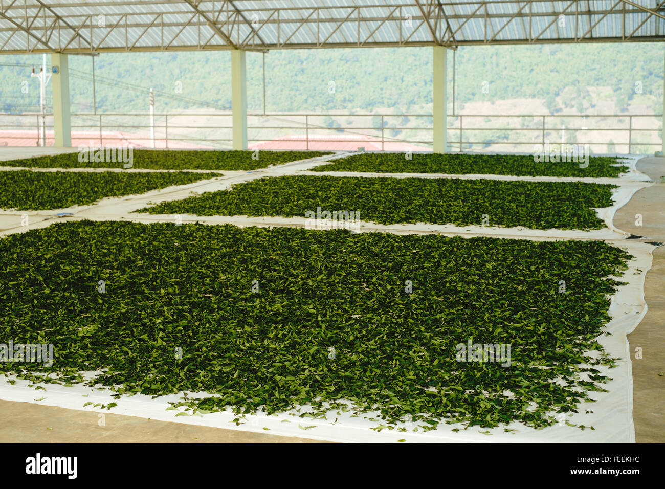 Agriculture china chinese drying hi-res stock photography and images ...