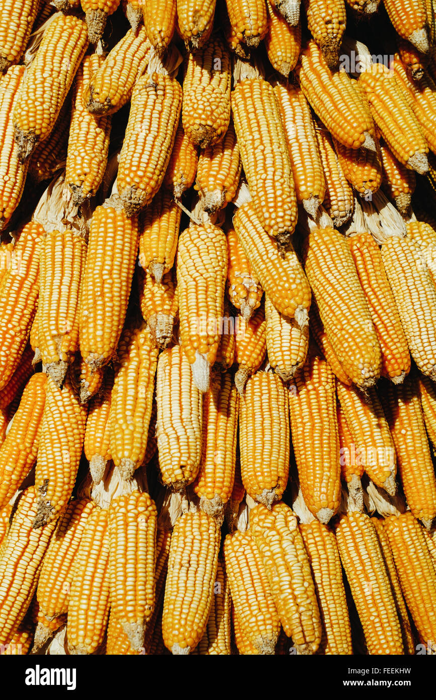 Corn combs hi-res stock photography and images - Alamy