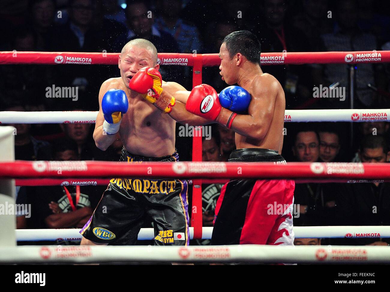 Lightweight boxing hi-res stock photography and images - Alamy