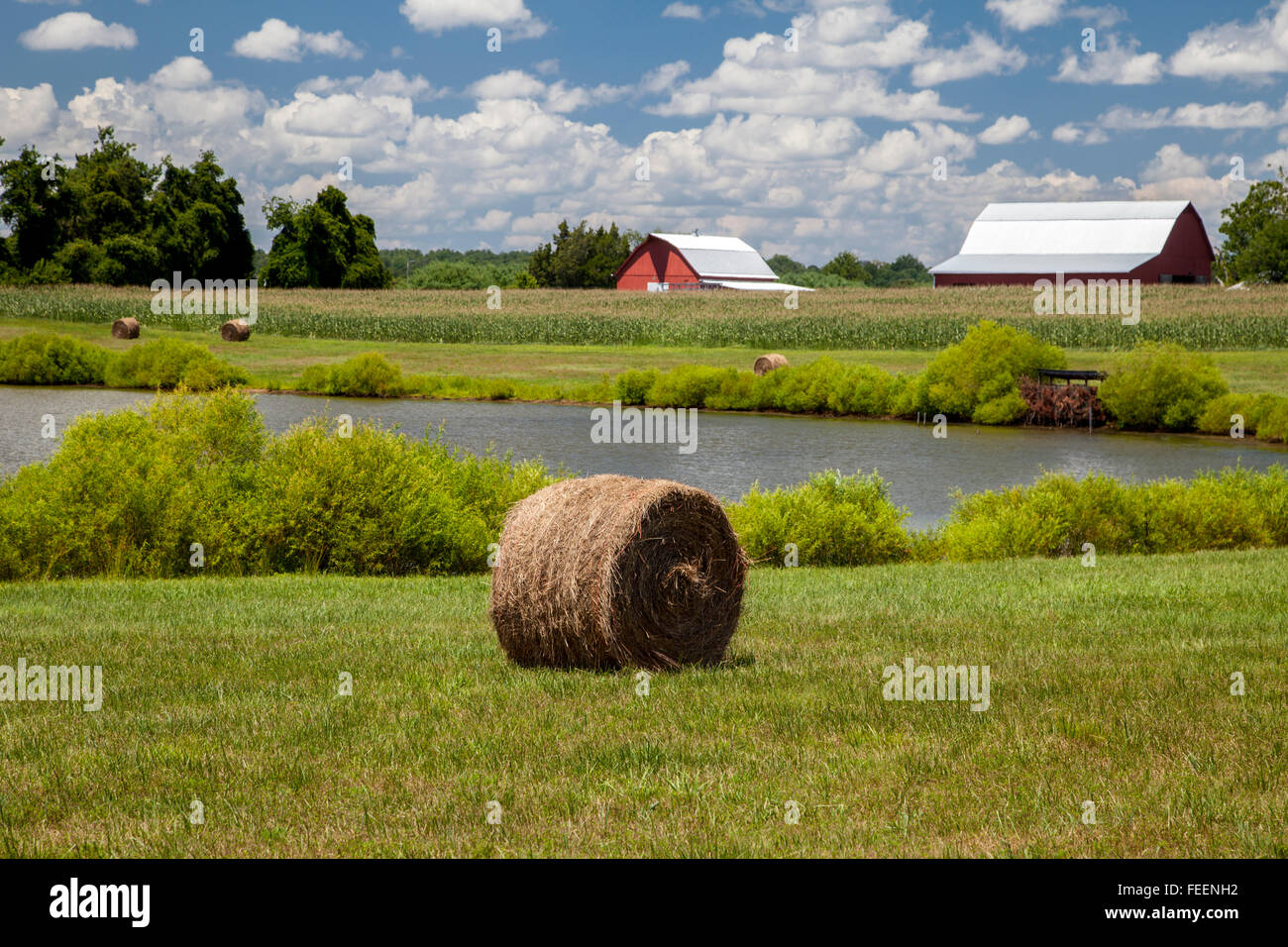 Leonardtown, Maryland, USA. Farm, with Hay Bale in Pasture, Pond, Barns ...