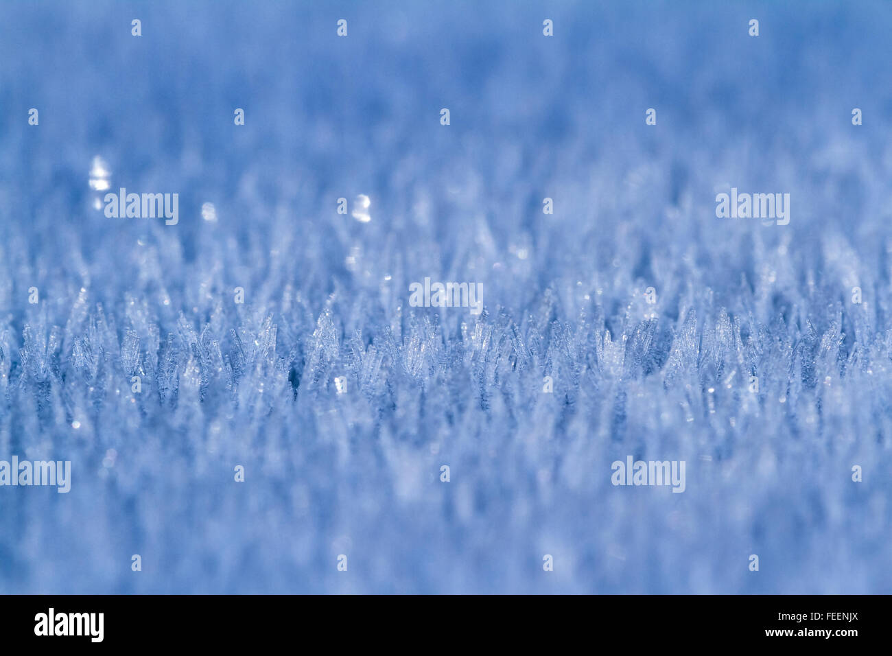 interesting detail in ice crystals after a cold front dropped ...