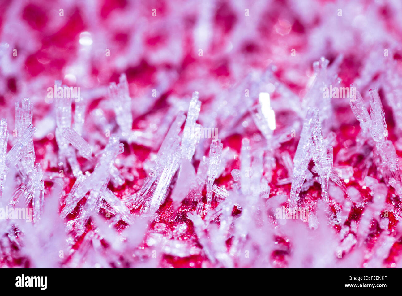 interesting detail in ice crystals after a cold front dropped ...
