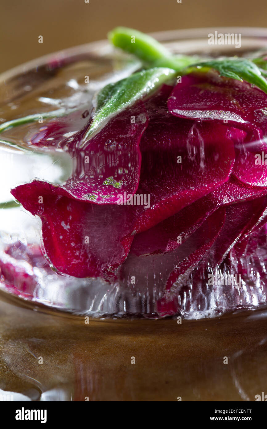 close up of a small red rose frozen in an ice cube adding beautiful ...