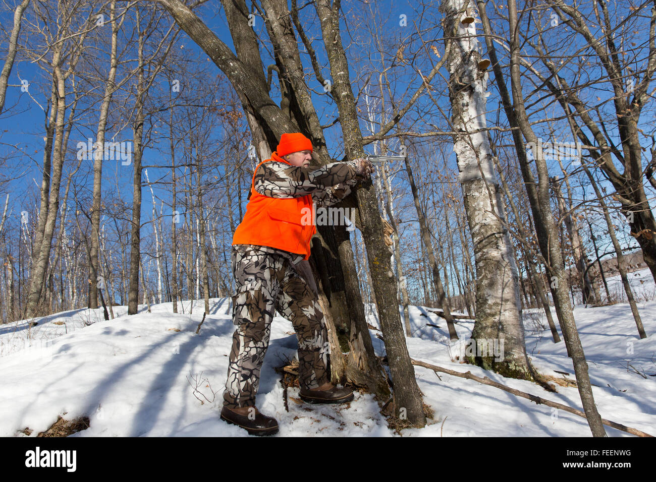 Hunter pointing gun hi-res stock photography and images - Alamy