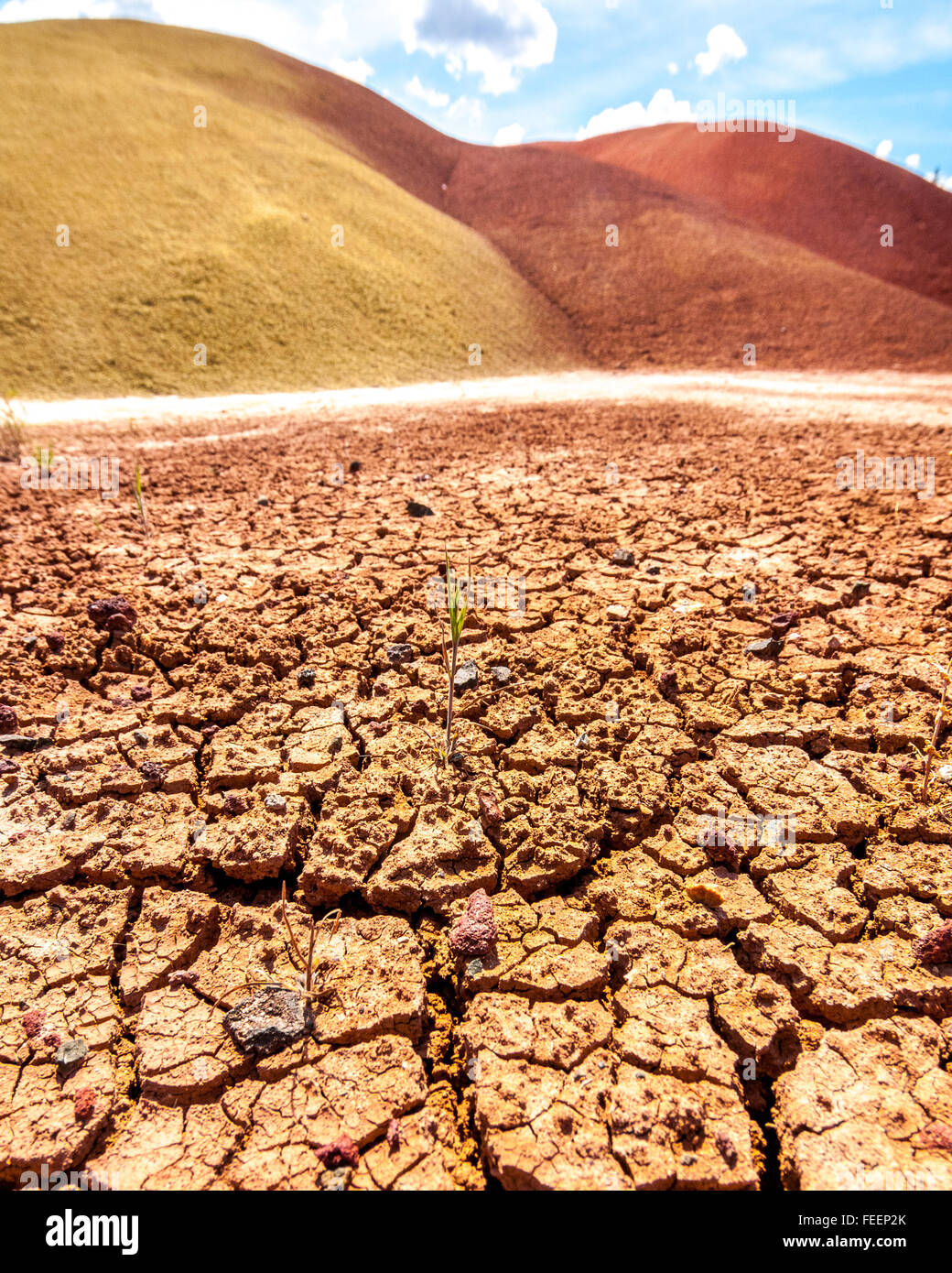 A closeup of the parched cracked clay at the foot of a two-tone hill ...