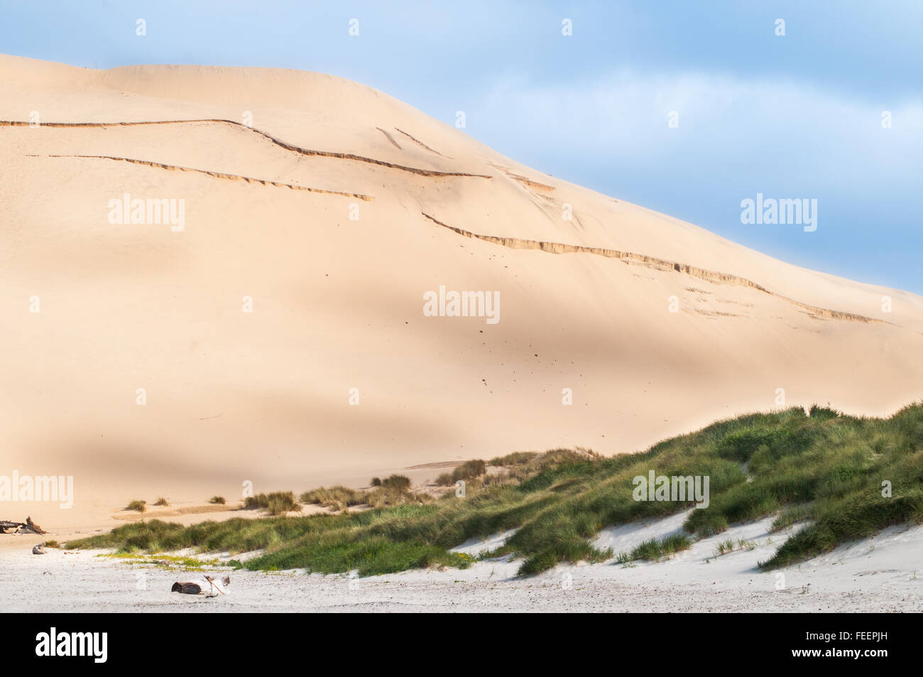 A massive sand dune, dotted with the shadows of clouds, dwarfs smaller ...