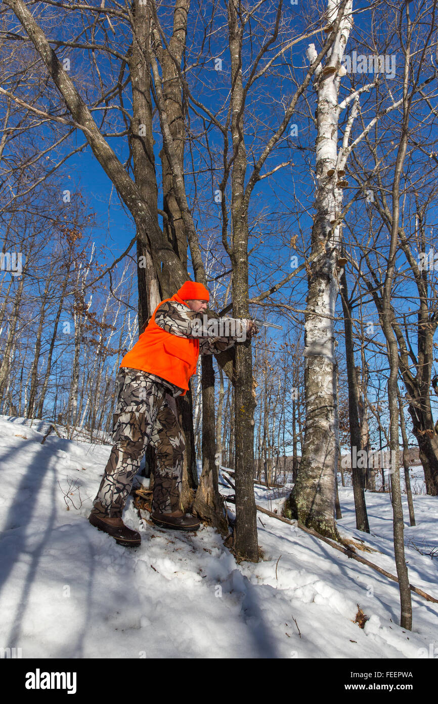 Hunter pointing gun hi-res stock photography and images - Alamy