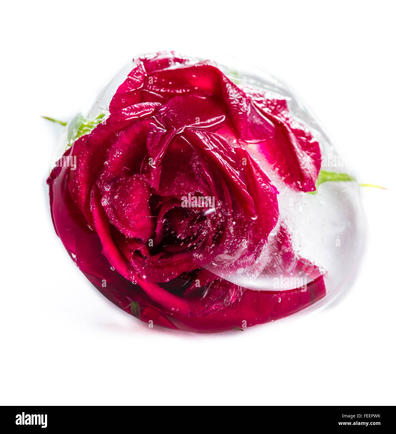 close up of a small red rose frozen in an ice cube adding beautiful ...