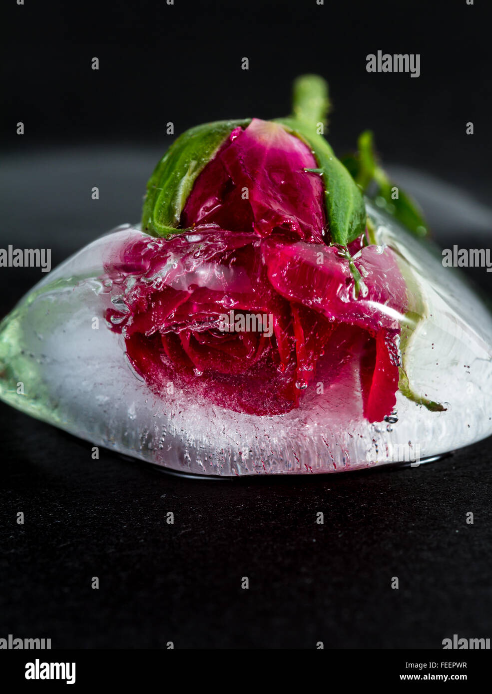 close up of a small red rose frozen in an ice cube adding beautiful ...