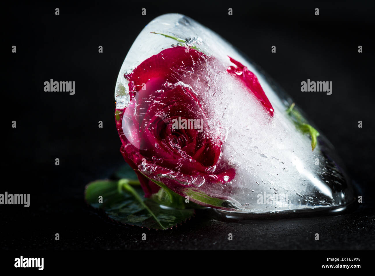 close up of a small red rose frozen in an ice cube adding beautiful ...