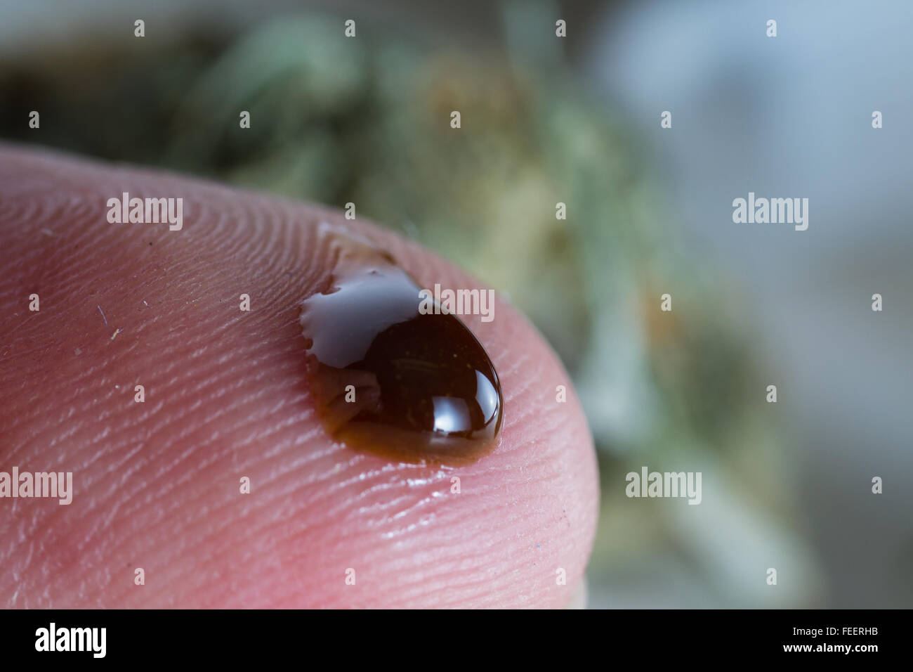 close up of a small but extremely potent drop of essential oil made ...