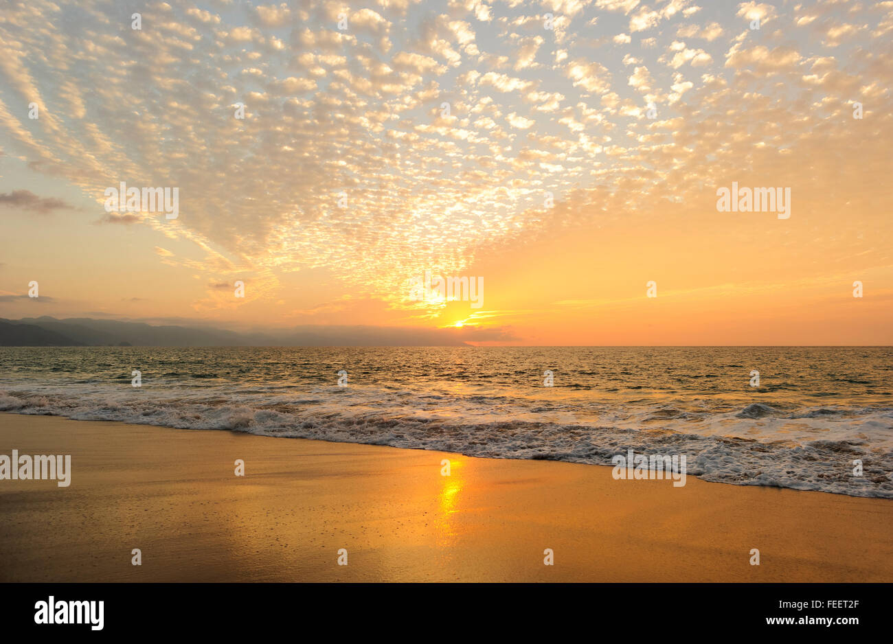 Ocean sunset is a brightly lit golden seascape with a gentle wave ...