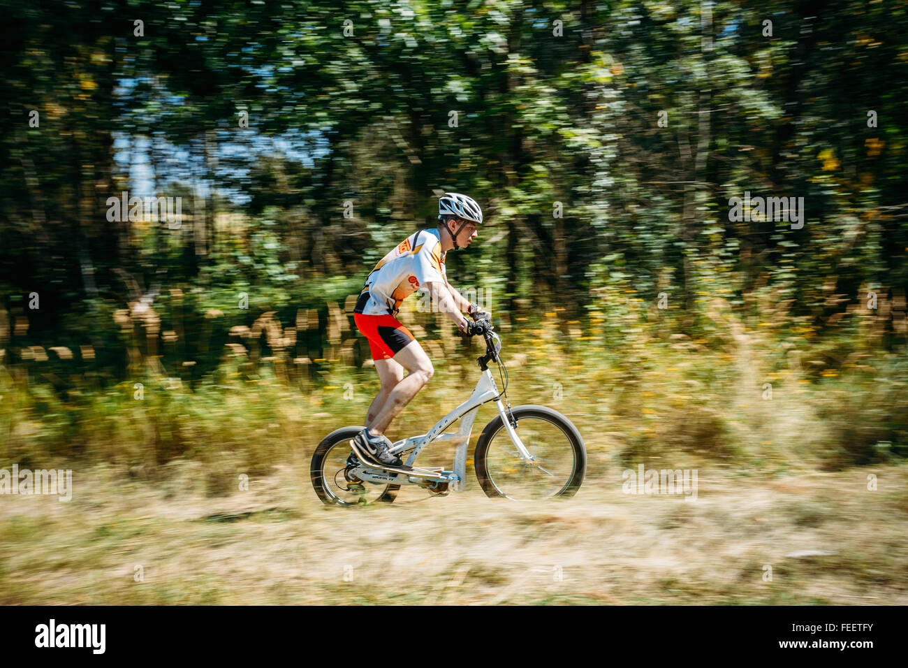 Stepper Bike cyclist riding on forest trail at sunny day, healthy ...