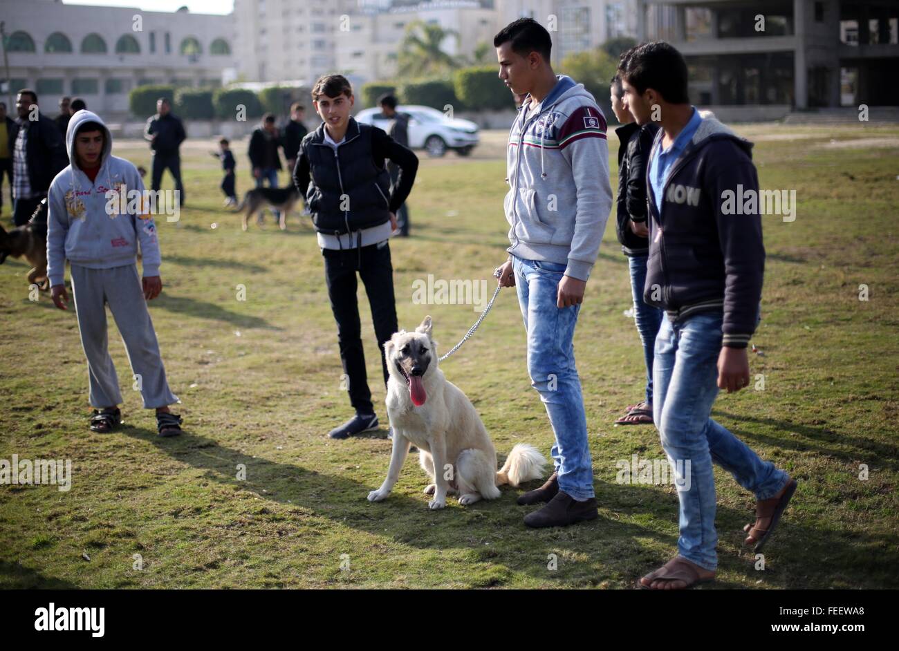Gaza City, Gaza Strip, Palestinian Territory. 5th Feb, 2016 ...