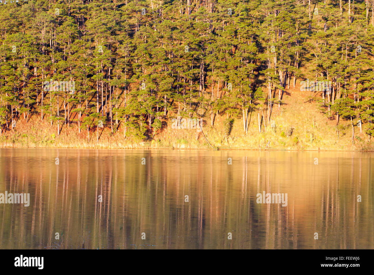 River call hi-res stock photography and images - Alamy