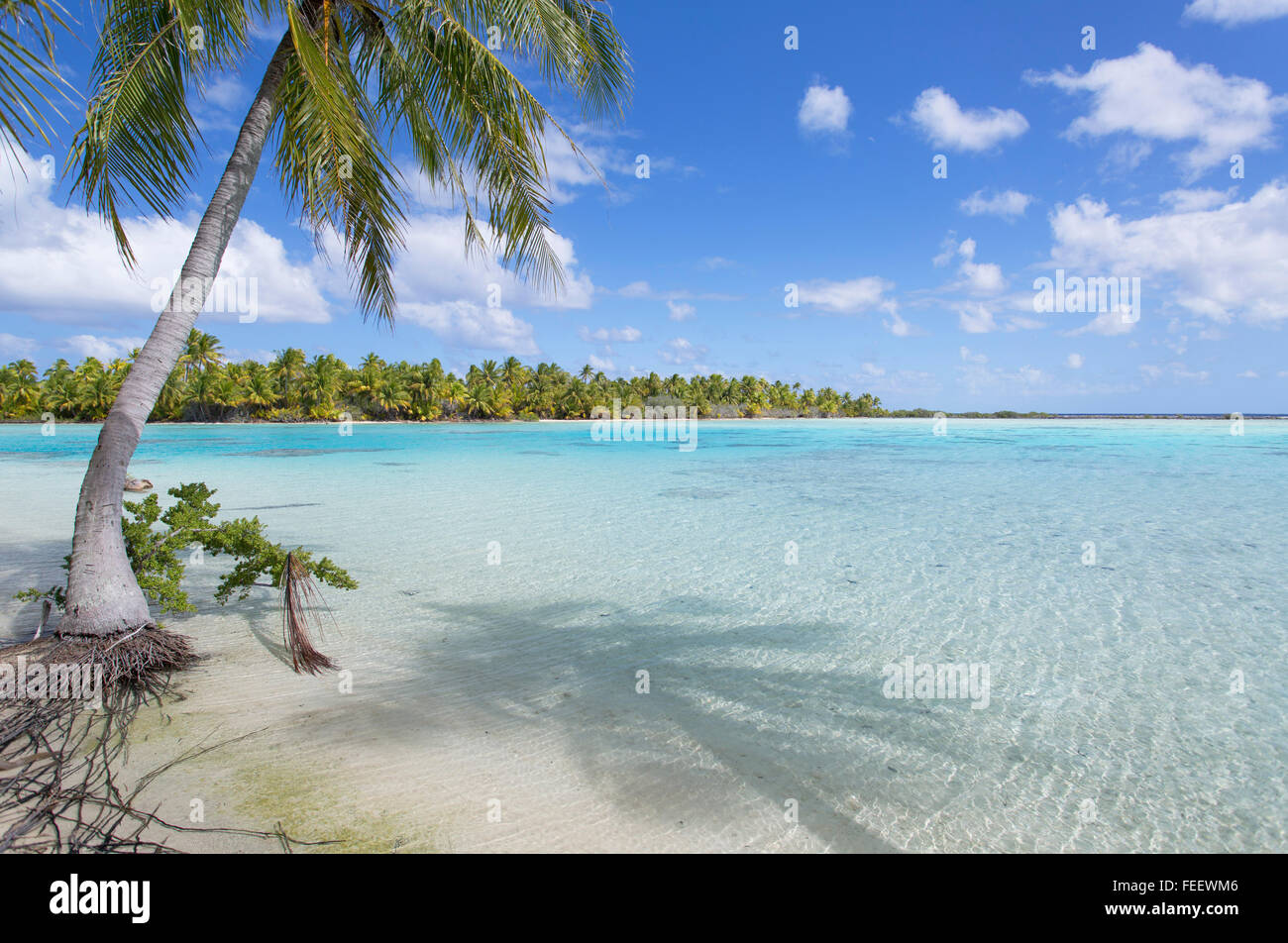 Green Lagoon, Fakarava, Tuamotu Islands, French Polynesia Stock Photo ...