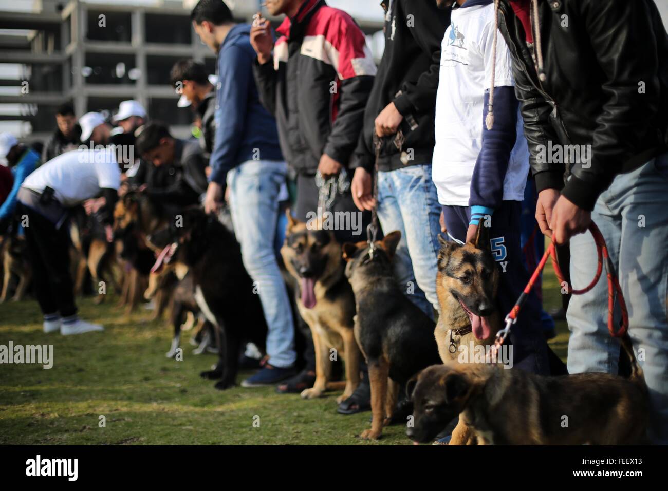 Gaza City, Gaza Strip, Palestinian Territory. 5th Feb, 2016 ...