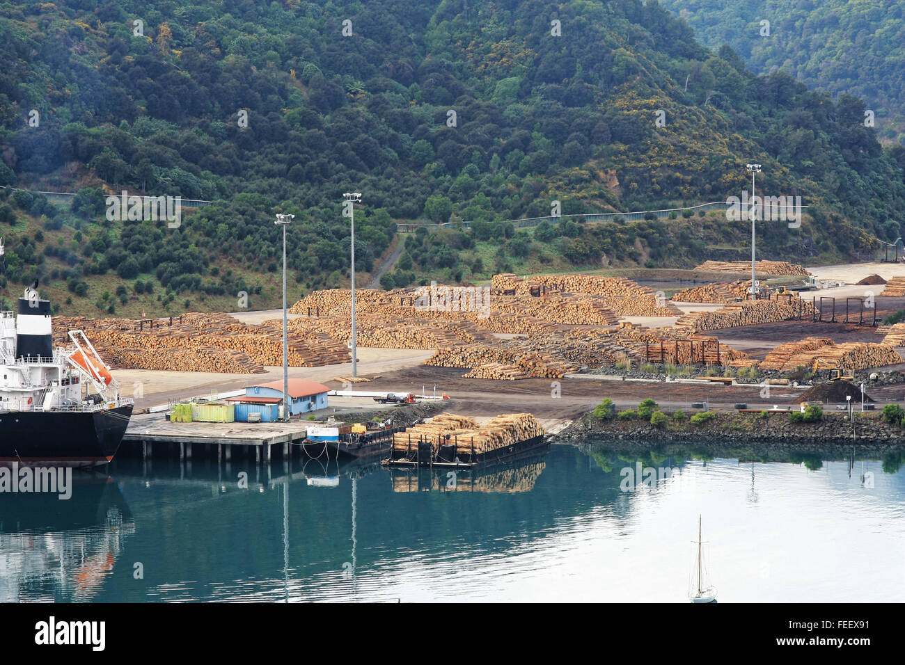 timber yard of logs ready for shipping Stock Photo - Alamy