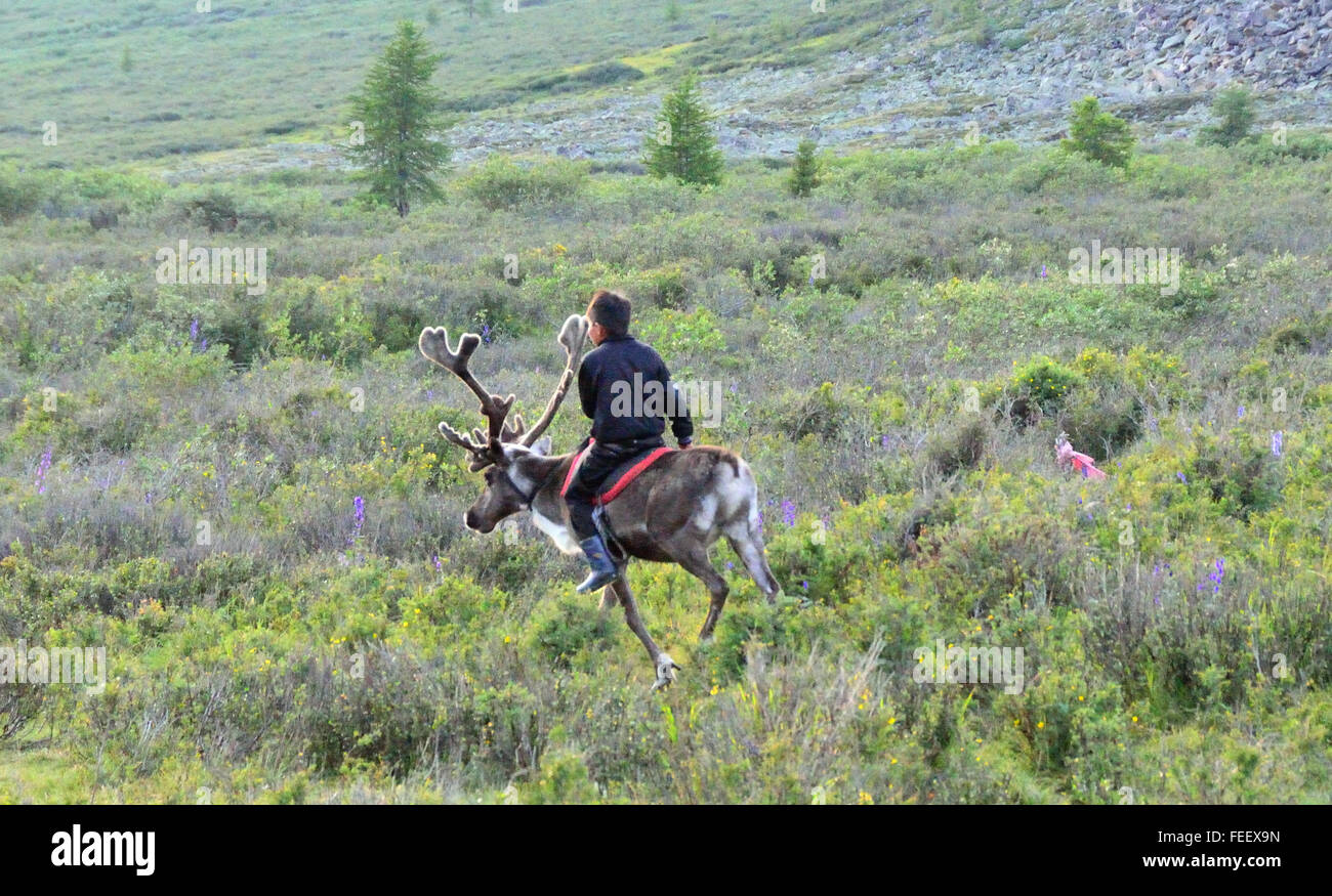 Mongolian reindeer herder hi-res stock photography and images - Alamy