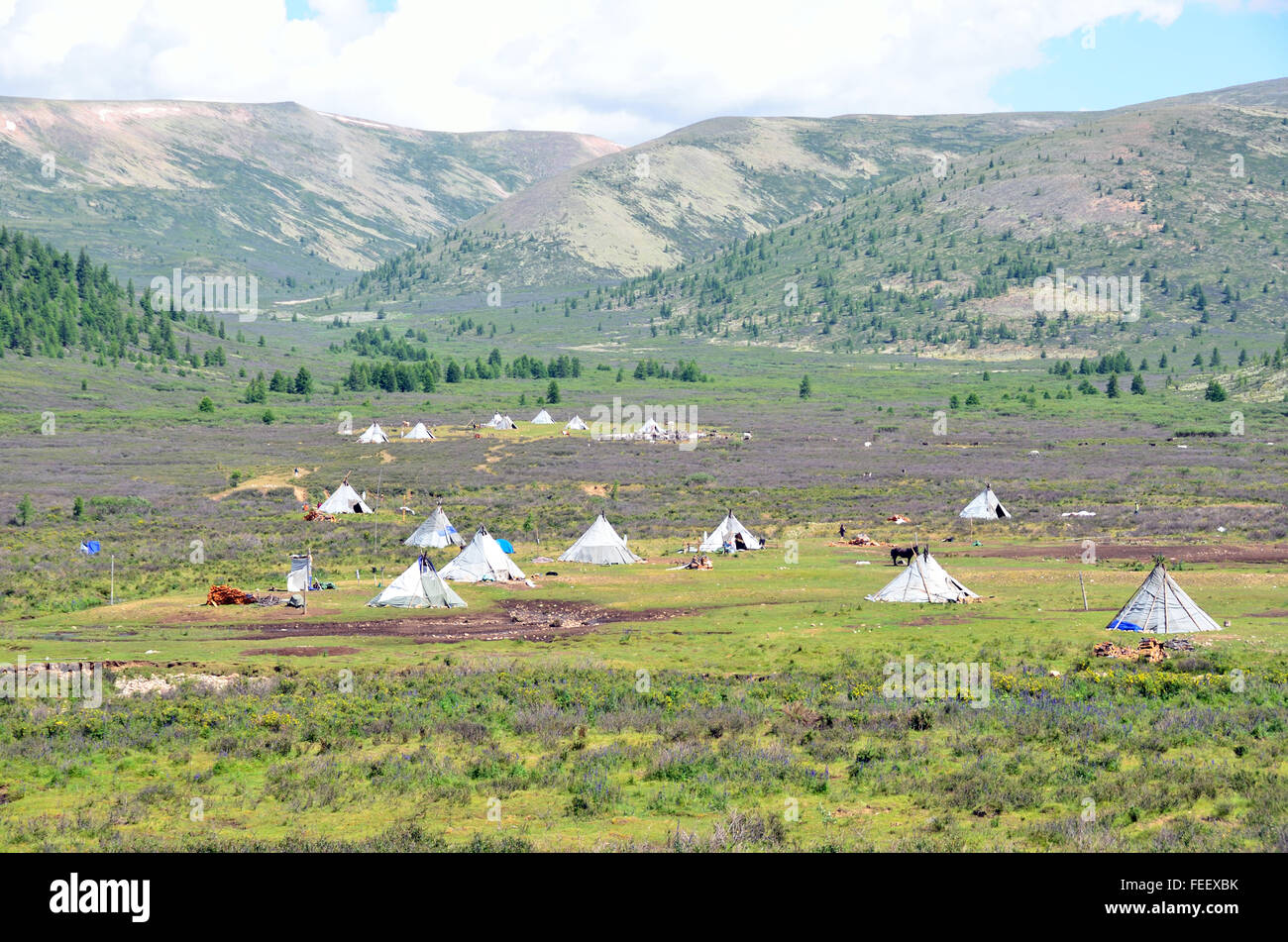 Tsaatans hi-res stock photography and images - Alamy