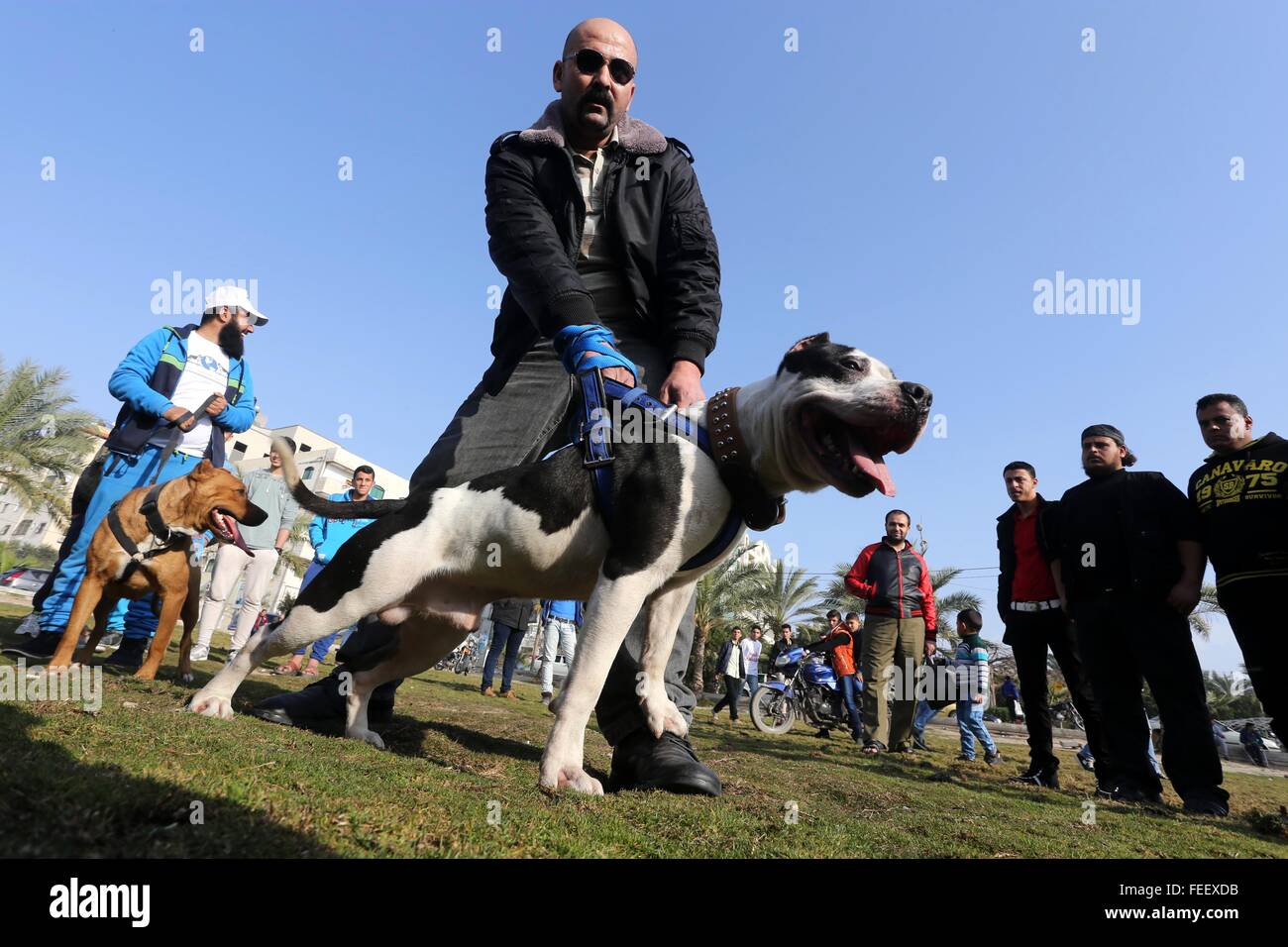 Gaza City, Gaza Strip, Palestinian Territory. 5th Feb, 2016 ...