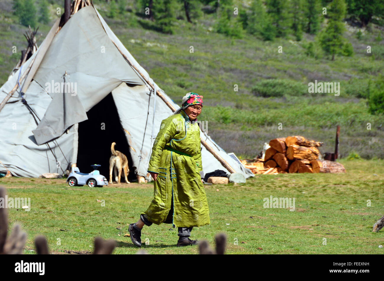 Tsaatans High Resolution Stock Photography and Images - Alamy