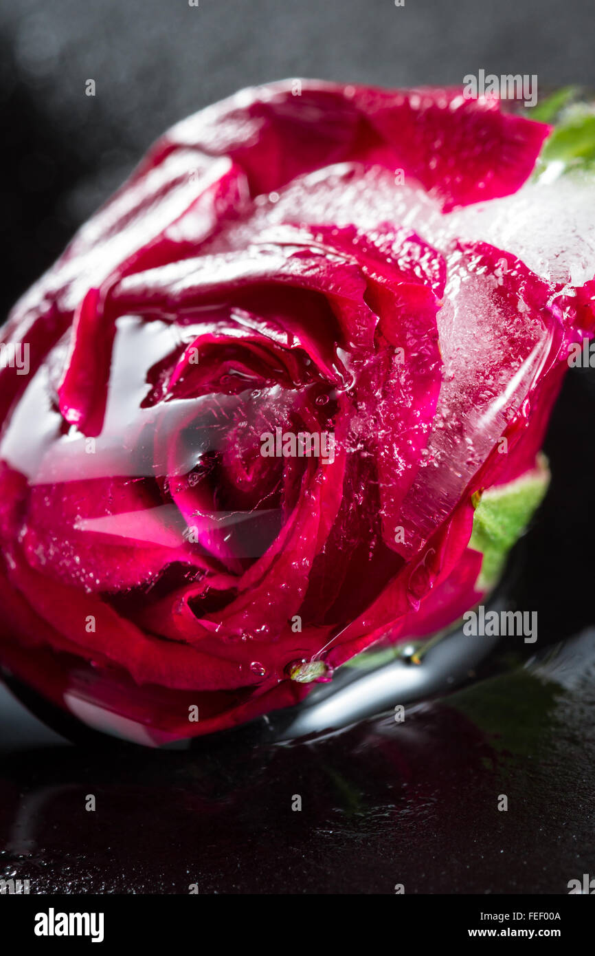 close up of a small red rose frozen in an ice cube adding beautiful ...