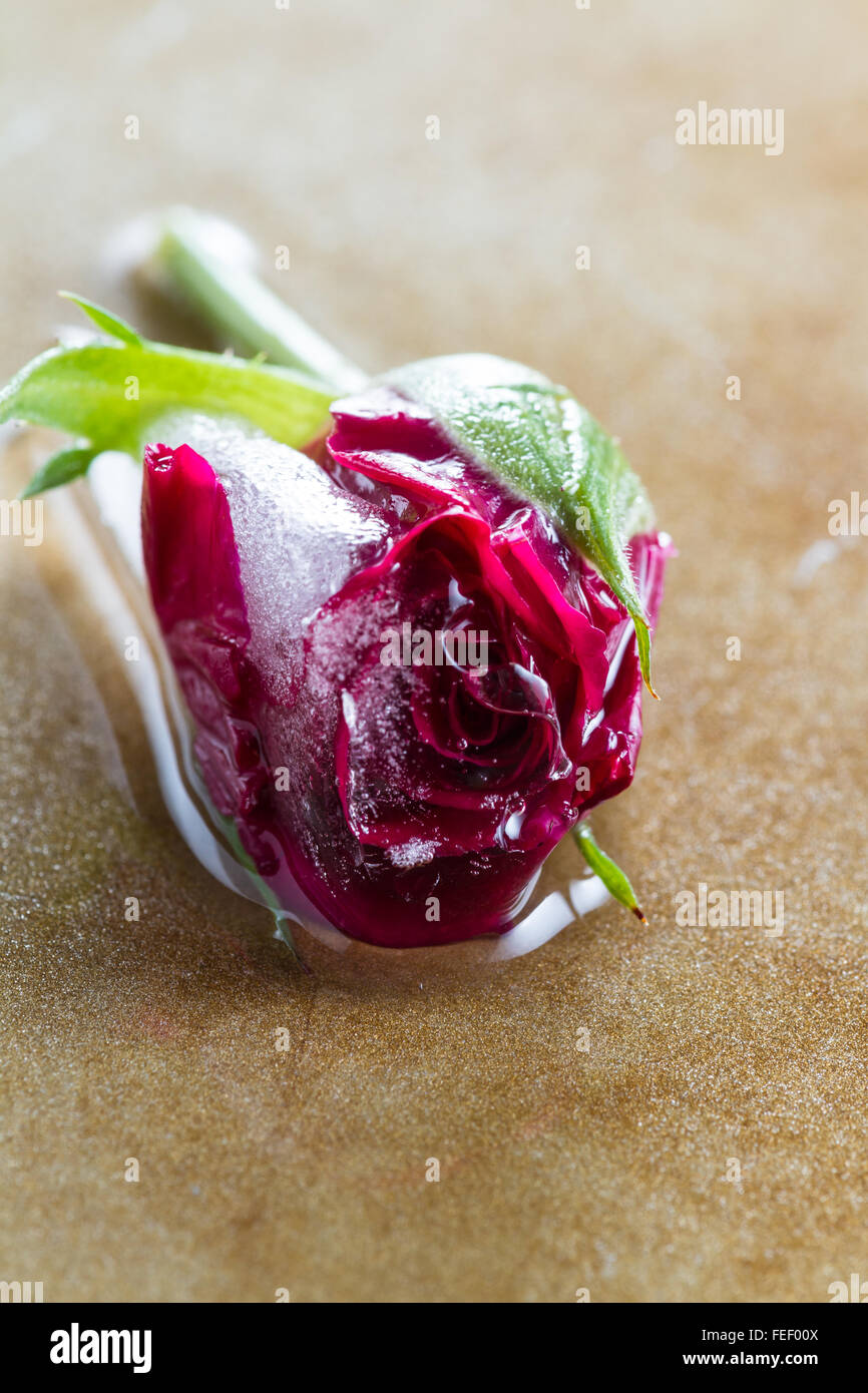 close up of a small red rose frozen in an ice cube adding beautiful ...