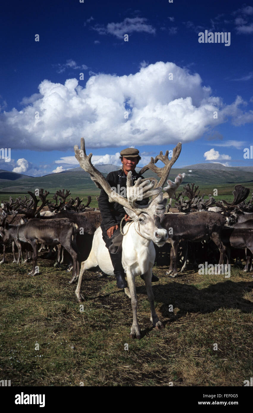 Reindeer herder man hi-res stock photography and images - Alamy