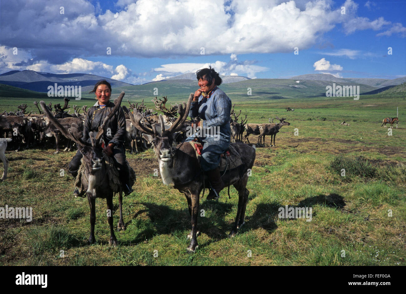 Mongolian reindeer herder hi-res stock photography and images - Alamy