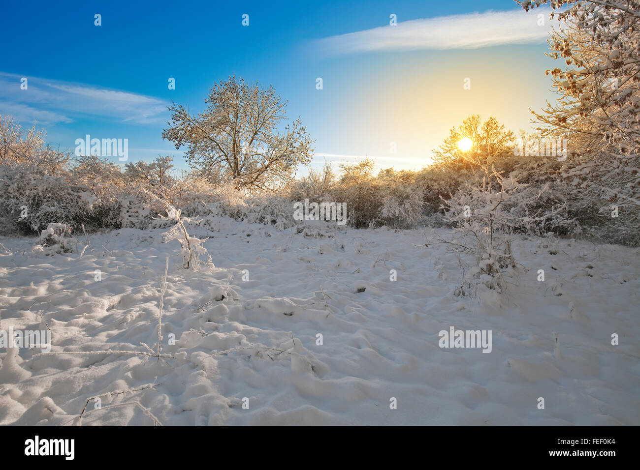 winter landscape with morning sun Stock Photo - Alamy