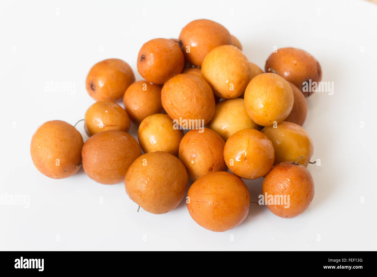 Milk Jujub is a new species of jujub from Thailand Stock Photo - Alamy