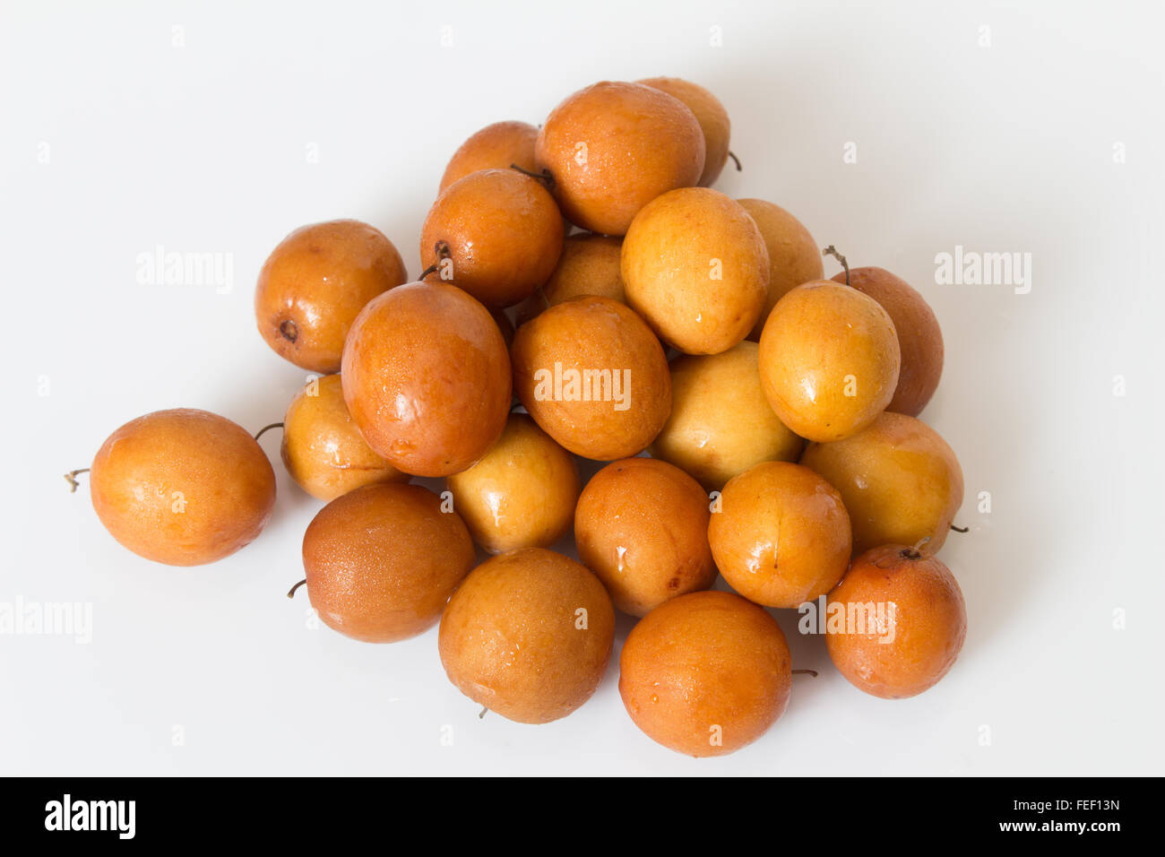 Milk Jujub is a new species of jujub from Thailand Stock Photo - Alamy