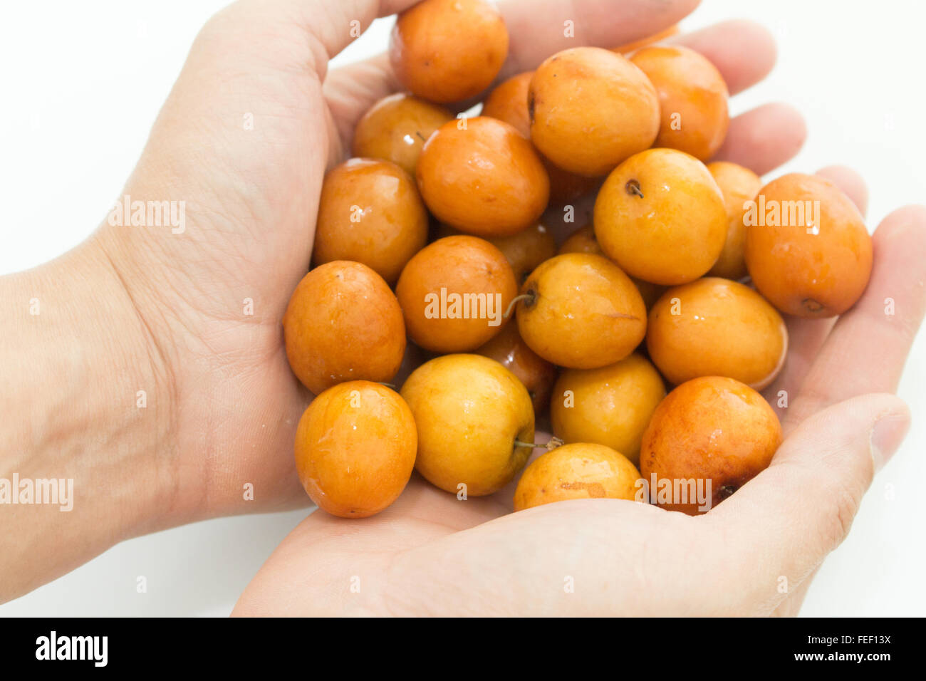 jujube or chinese date on white background Stock Photo - Alamy
