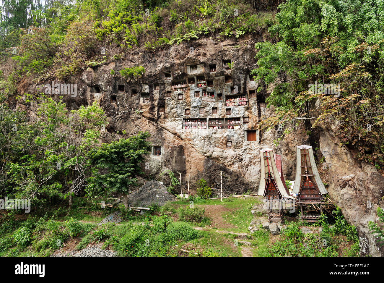 Indonesia sulawesi tana toraja ceremony tau tau cliff hi-res stock ...
