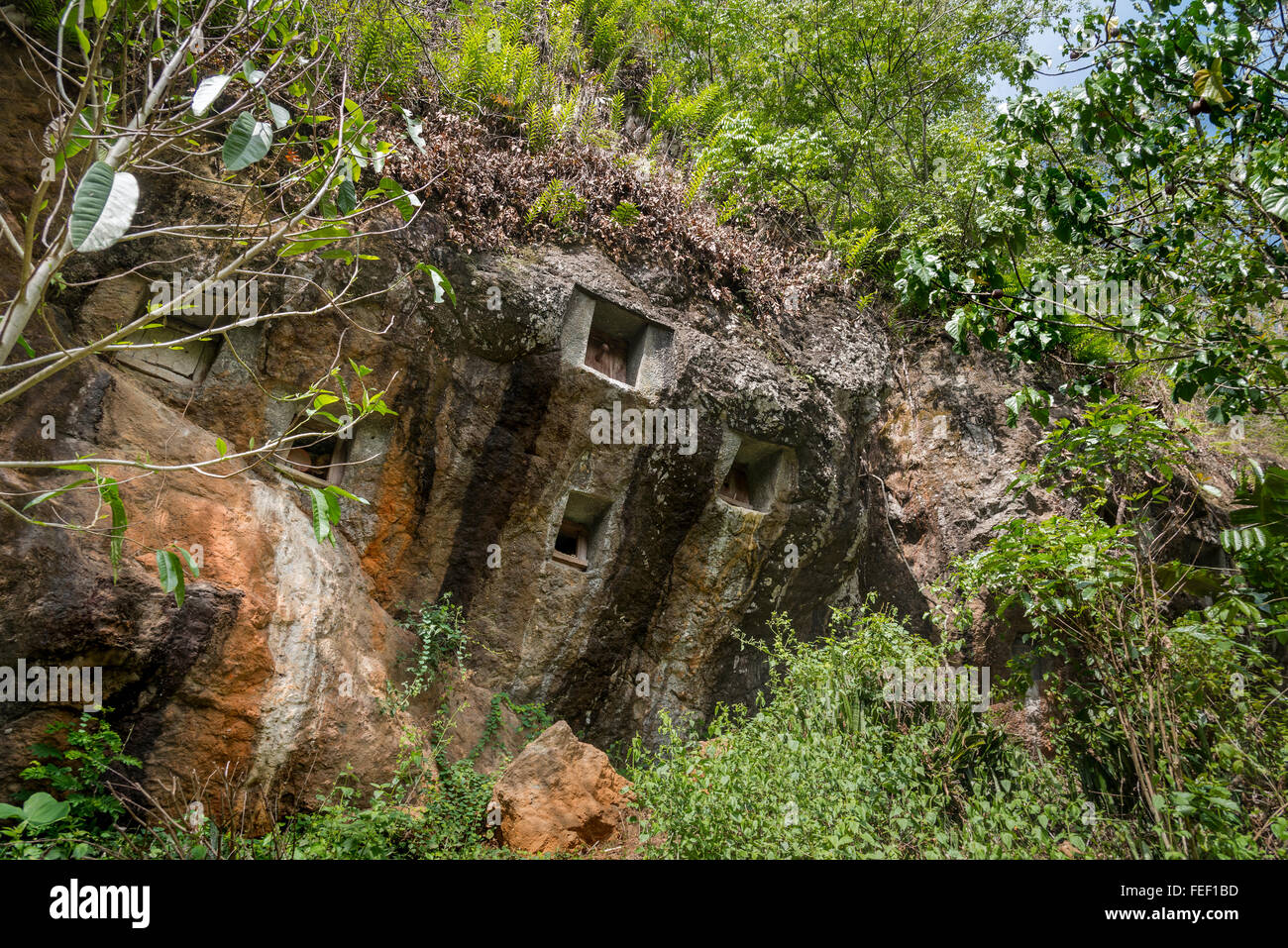 Traditional cave graves carved in the rock on the top of cliff. Lemo is ...