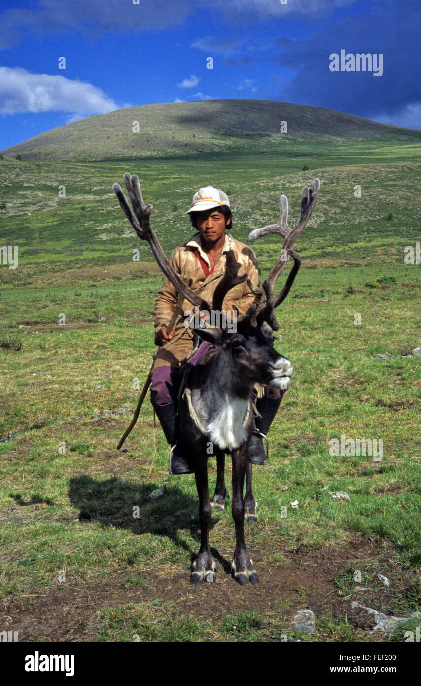 Mongolian reindeer herder hi-res stock photography and images - Alamy