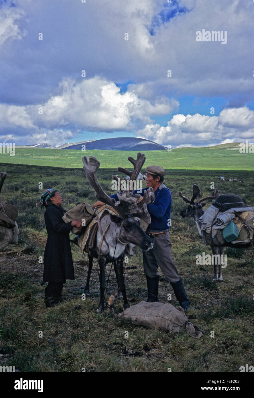 Mongolian reindeer riders hi-res stock photography and images - Alamy