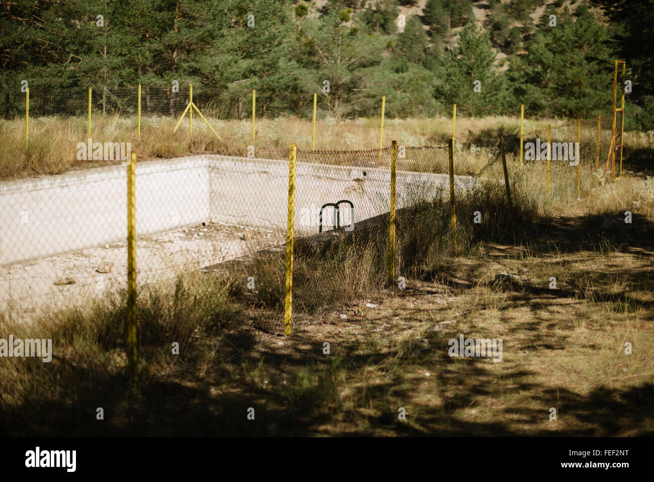 Dirty and empty swimming pool Stock Photo - Alamy