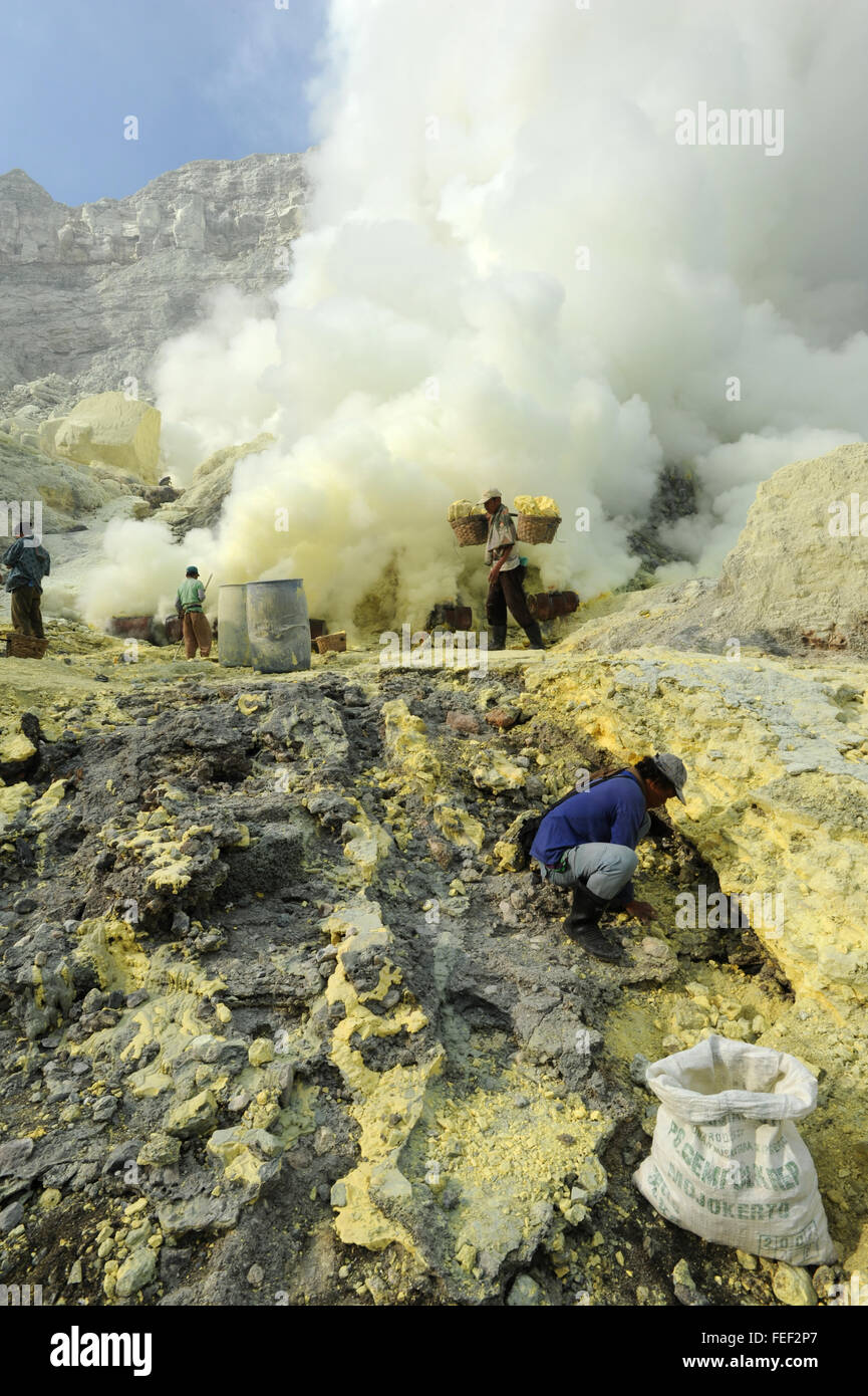 People collecting sulfur from the crater of the volcano Ijen on the ...