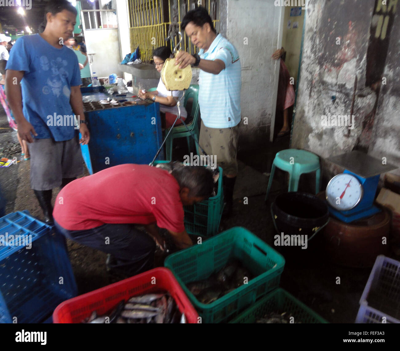 Filipino workers weigh boxes of fish inside the Navotas Fish Port ...
