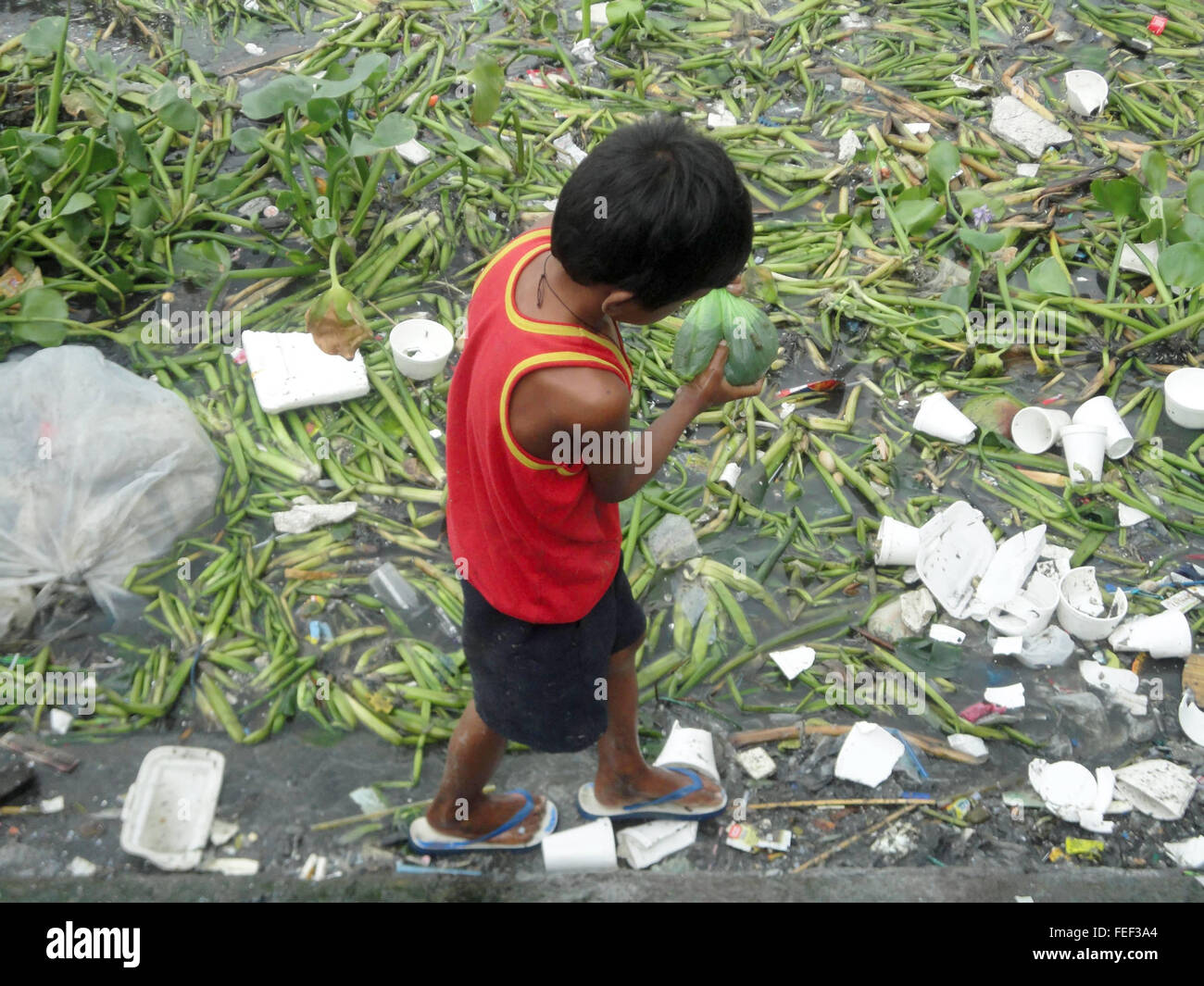 A Filipino child carries seaweed along the coast of Manila Bay ...