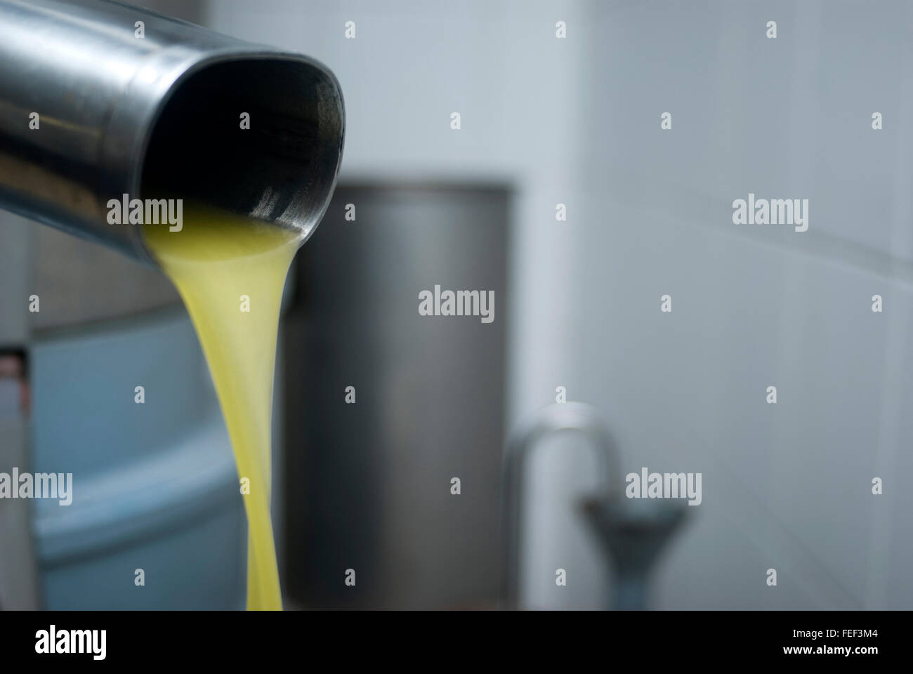 Fresh virgin olive oil pouring into tank Stock Photo - Alamy