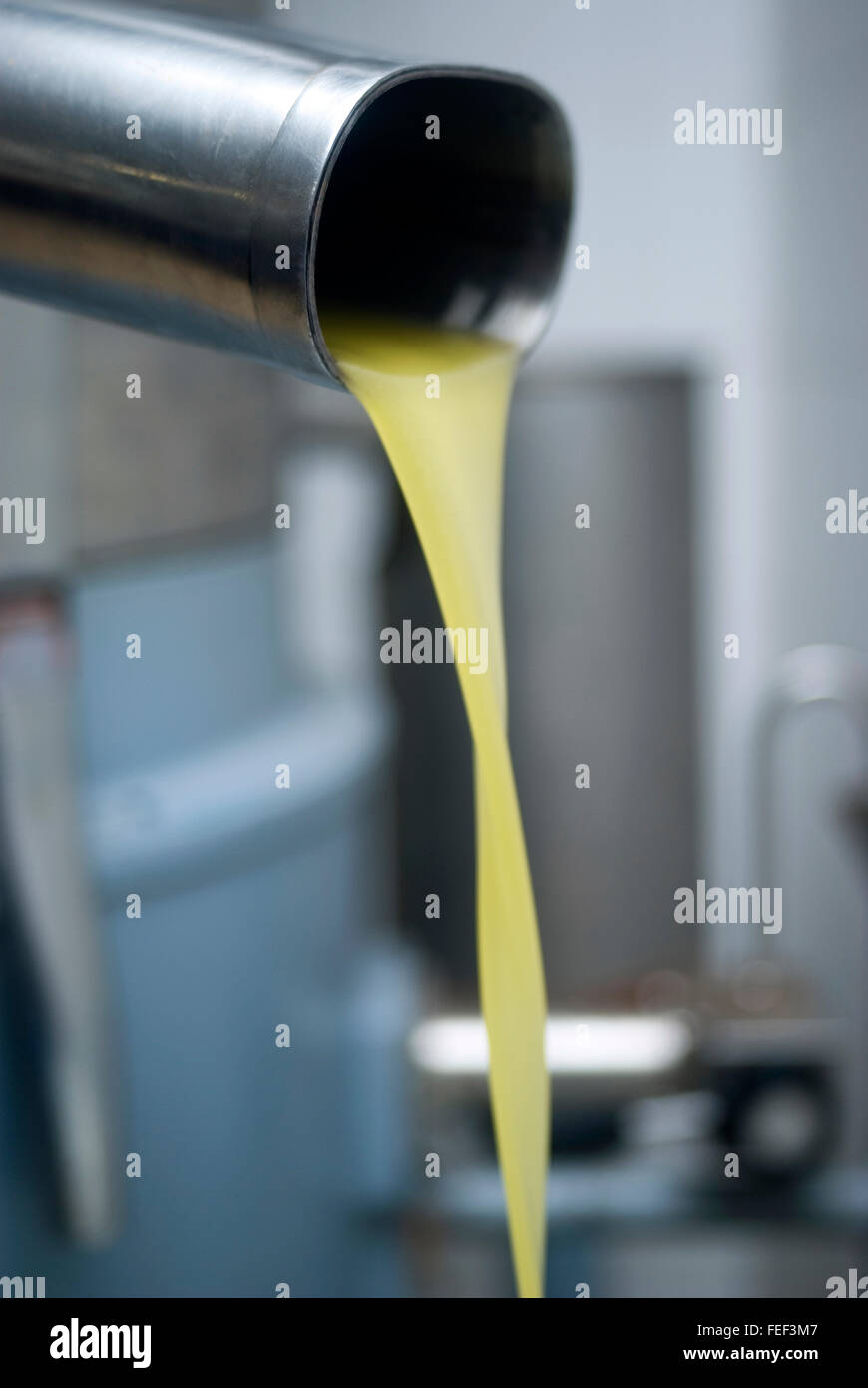Fresh virgin olive oil pouring into tank Stock Photo - Alamy