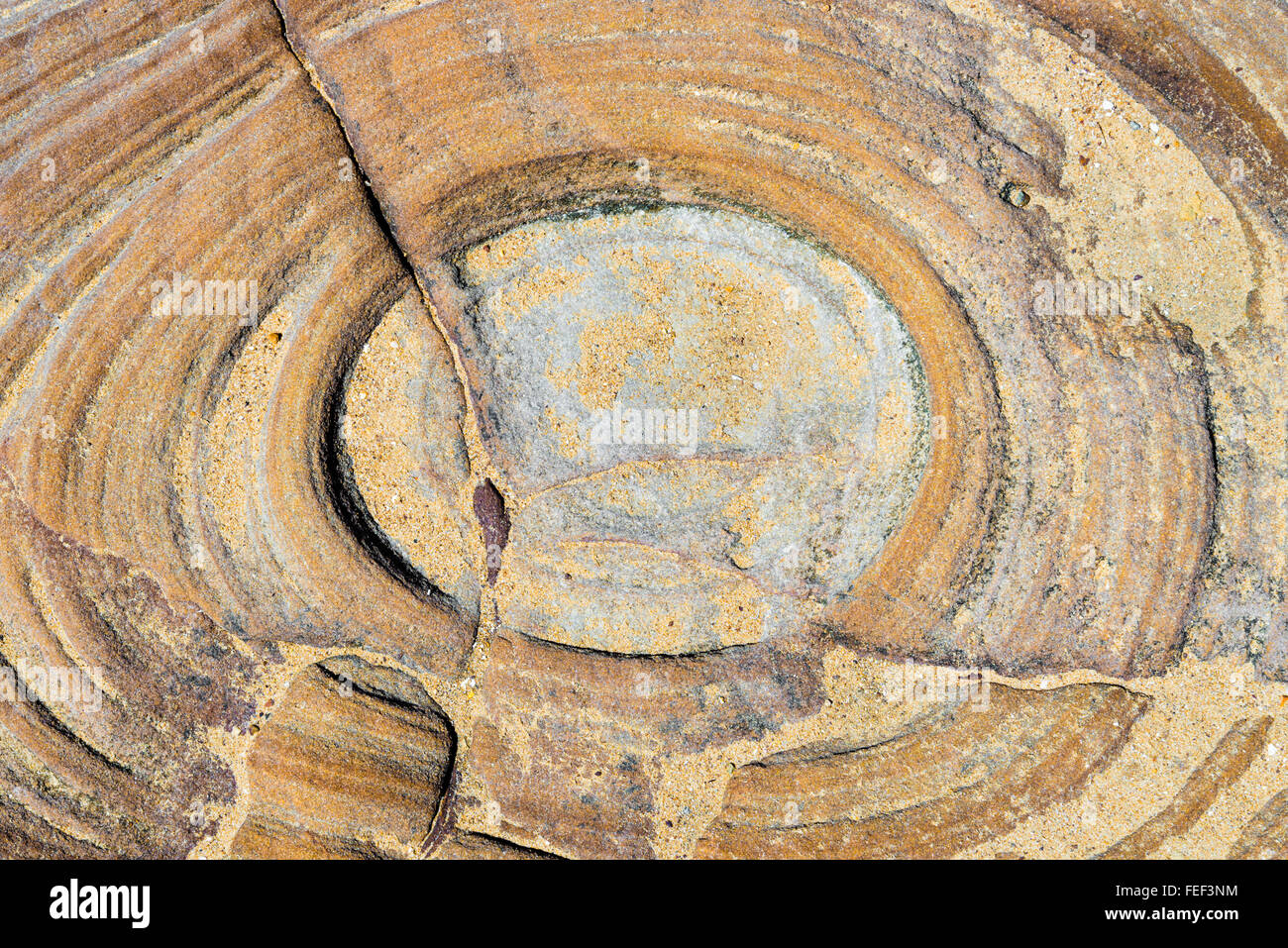 Australian rock formation background, sandstone texture with iron ...