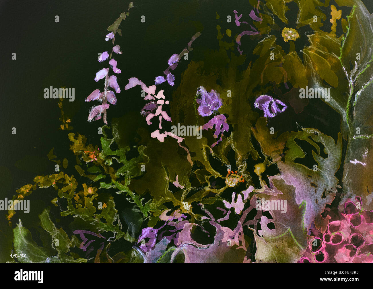 T shrubbery hi-res stock photography and images - Alamy